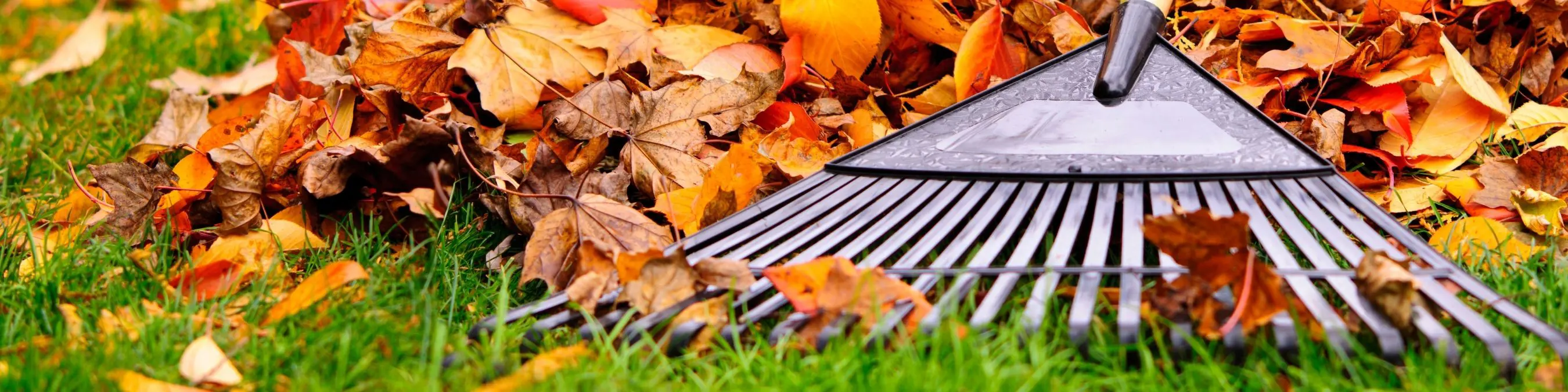 Leaf and Yard Waste Composting | City of Kenora