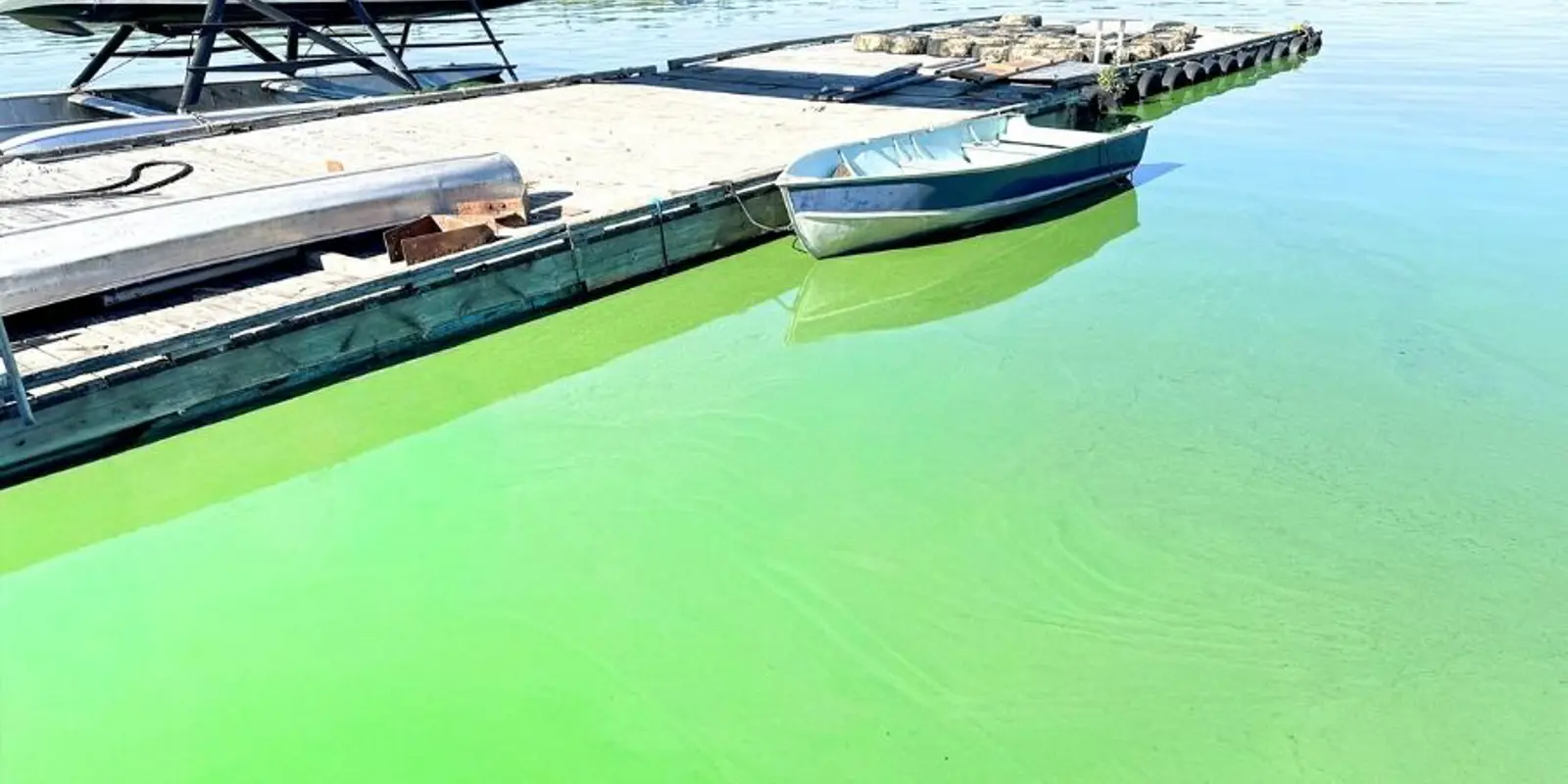 Blue-green Algae | City of Kenora